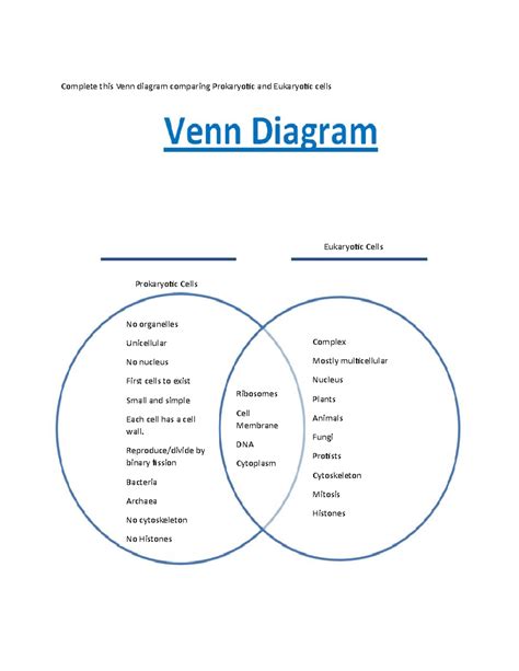 Prokaryotic And Eukaryotic Dna Replication Venn Diagram Comp