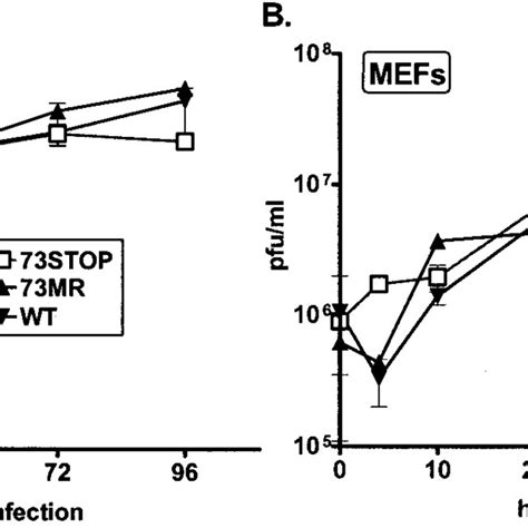 Hv68 Lana Is Not Required For Virus Replication In Vitro A Nih 3t12