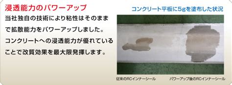 Rc Rcg Japan