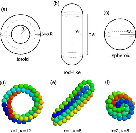 Schematics Of A Toroidal B Rodlike And C Spheroidal Models Of Download Scientific