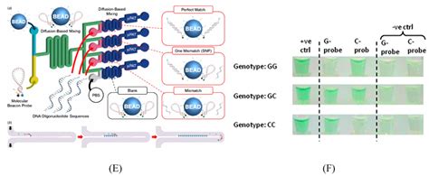 Microarrays Special Issue Snp Array