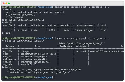 공식 gdal 이미지로 gis and python 개발환경 구축하기 2 postgis 추가