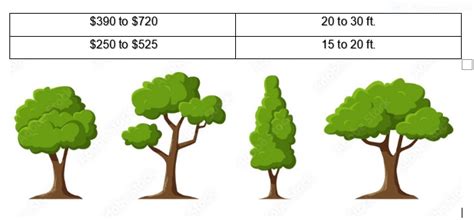 Tree Trimming Cost Calculator Services Near My Area In