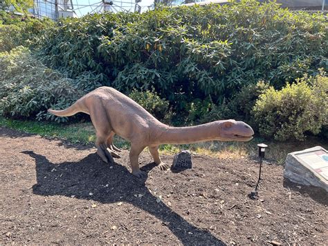11 Intriguing Dinosaurs Physical Appearance And Life Facts Owlcation