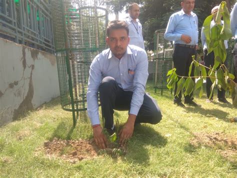 prince saroha on linkedin plantedtrees environment greenenergy future