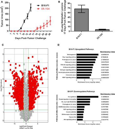 Whole Genome Microarray Analysis Of B16 F1 And D5 1g4 Download Scientific Diagram