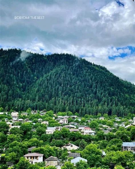 დასვენება მთა და ბარში