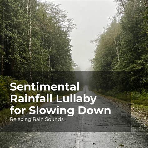Sentimental Rainfall Lullaby For Slowing Down Album By Relaxing Rain