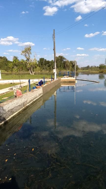 Queda brusca no nível da lagoa de captação do Rio Batalha preocupa o DAE Prefeitura Municipal