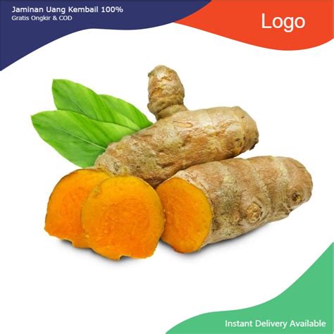 Jual Promo Temulawak Segar 500gram Temu Lawak Umbi Basah Shopee Indonesia