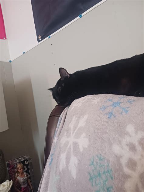 My Void Is Very Eepy Today R Voidcats