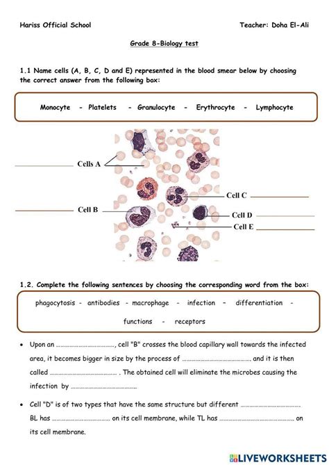 Blood Worksheet