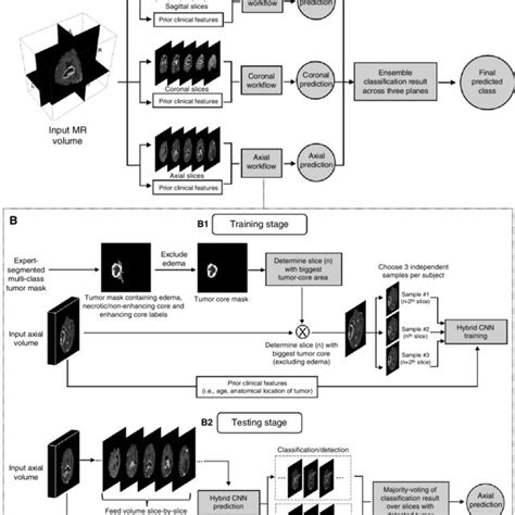 Inclusion Flowchart Of Data For Idh Mutation And 1p19q Codeletion