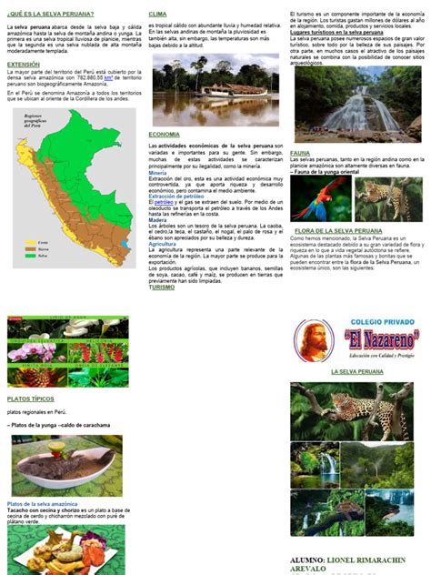 La Selva Peruana Actualizada07 De Julio Pdf Perú Ciencias De La