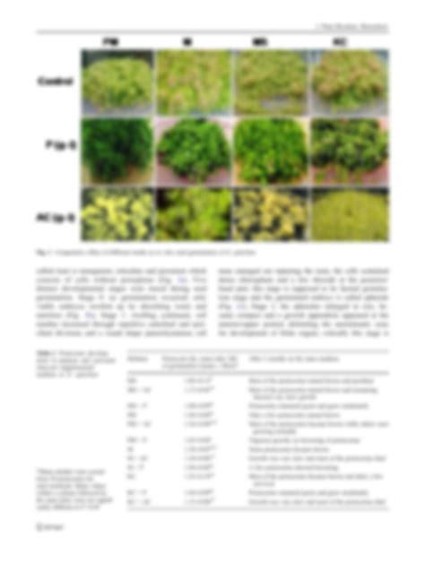 Solution In Vitro Propagation Of Dendrobium Aphyllum Orchidaceae Seed