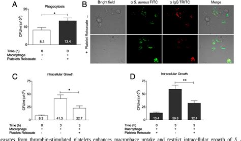 Figure 3 From Platelets Mediate Host Defense Against Staphylococcus