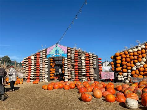 Halloween Best Pumpkin Patch At Kuwaharass Pumpkin Patch Hubpages