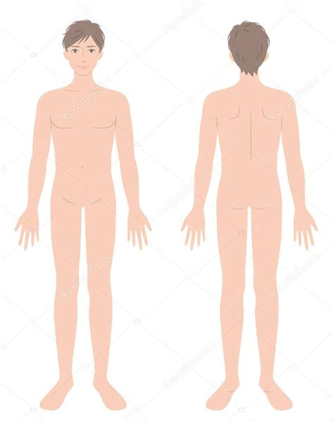 joven desnudo cuerpo completo ilustración delantera y trasera Concepto