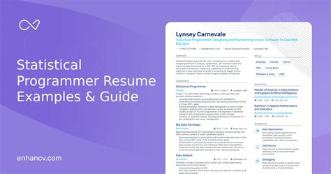 5 Statistical Programmer Resume Examples And Guide For 2024