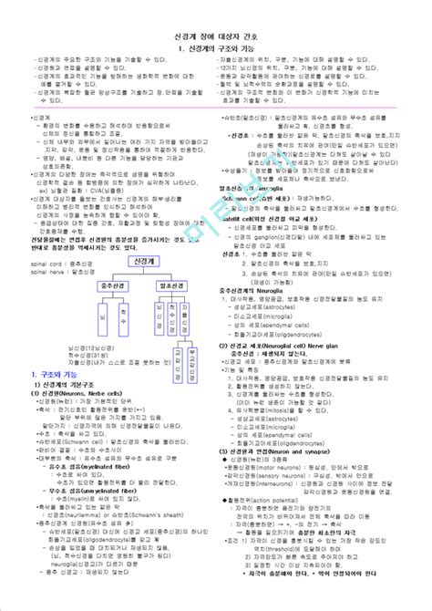 레포트 성인간호학 신경계요점정리 올레포트