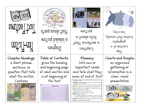 Nonfiction Text Features Worksheet E