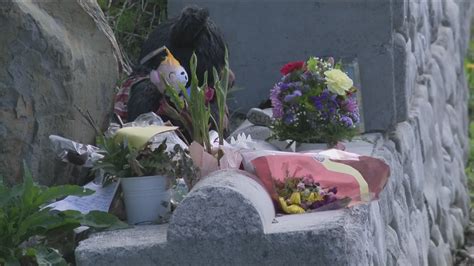 Healing University Idaho Vandal Healing Garden Memorial