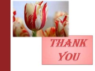 Statisticalprocesscontrol Phpapp Pdf