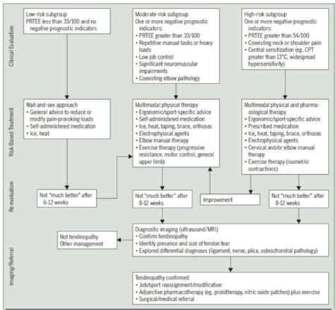 Let Cpg And Elbow Evidence Flashcards Quizlet