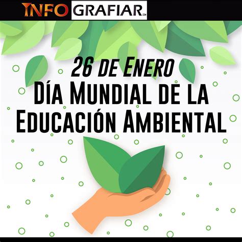 Día Mundial De La Educación Ambiental ¿cuáles Son Sus Principales