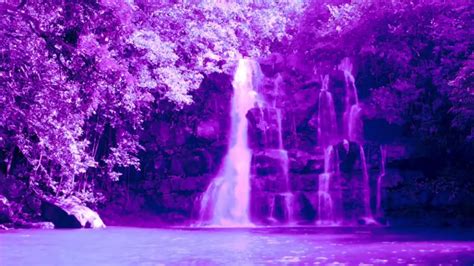 9 Minute Guided Gratitude Meditation Audio Only Xxx Mobile Porno