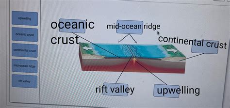 [Solved] upwelling oceanic crust continental crust mid-ocean ridge rift valley | Course Hero