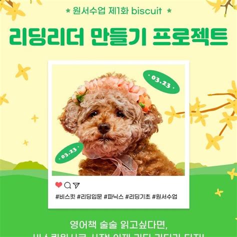꾸그 기초영어 원서수업 비스킷 I Can Read Biscuit
