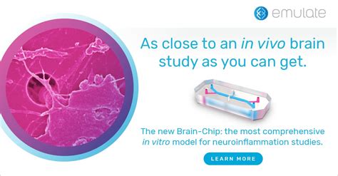 Emulate Inc On Linkedin Brain Chip