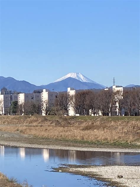 東京都日野七福神めぐり ラントリップ