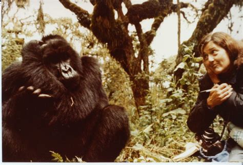 Dian Fossey Biography Dian Fossey Gorilla Fund