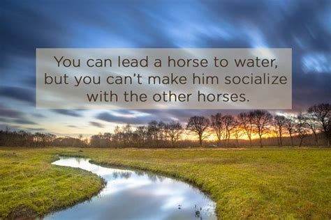 Proverbs For Introverts Introvert Introvert Problems Introvert Quotes