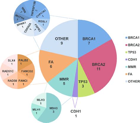 Number Of Germline Loss Of Function Mutations Identified In Different
