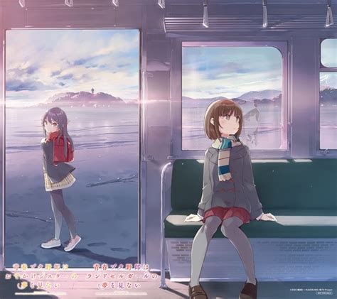 青春ブタ野郎シリーズ劇場公開決定ティザービジュアル解禁 アニメイトタイムズ