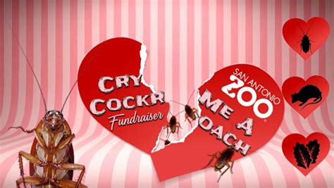 You Can Now Name A Cockroach Or Rat After Your Ex And Itll Be Fed To