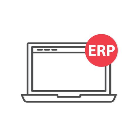 Erp Implementation Stock Vectors Istock