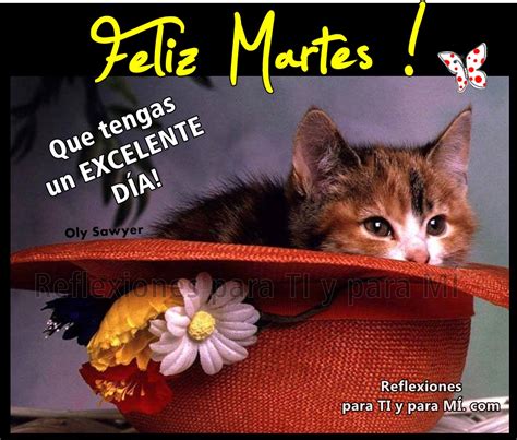 Buenos Deseos para TI y para MÍ FELIZ MARTES Que tengas un