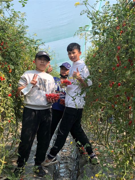 大里農會你農我農收穫滿滿 臺灣導報
