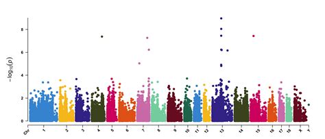 Github Yinlilincmplot 📊 Circular And Rectangular Manhattan Plot