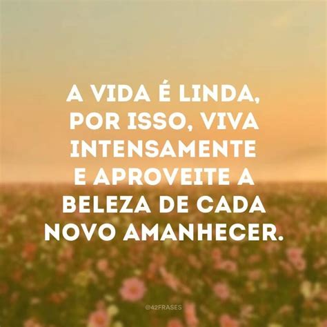 Viva A Vida Mensagem