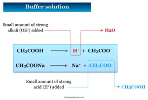 Buffer Solution Definition Types Uses