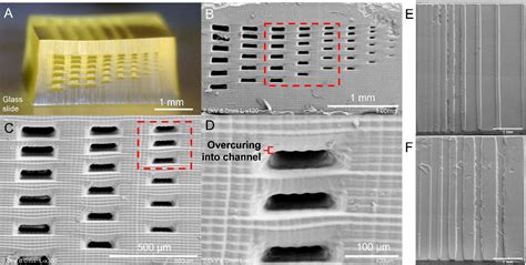 Figure 1 From Low Viscosity Polydimethylsiloxane Resin For Facile 3d Printing Of Elastomeric