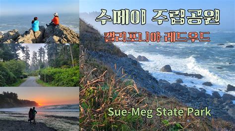 레드우드 최고 해안경치 수메이 주립공원 Sue Meg State Park Youtube