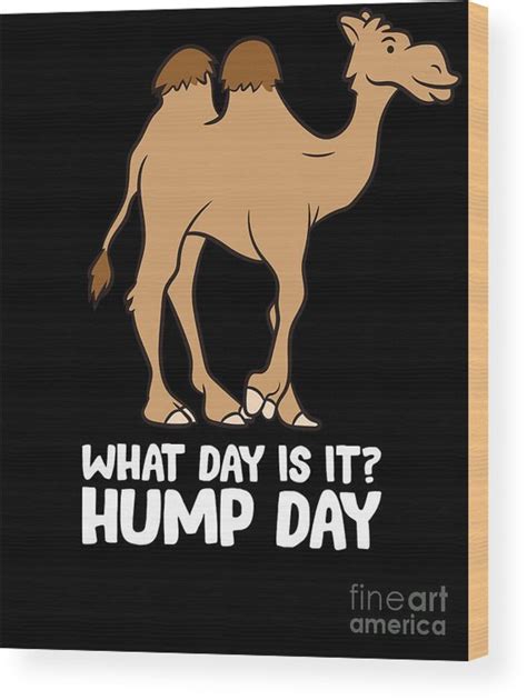 Free Hump Day Clipart Download Free Hump Day Clipart Png Images Free
