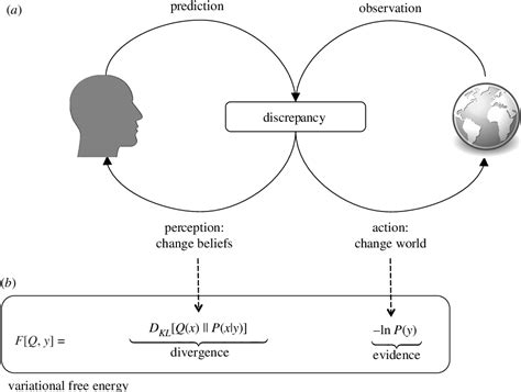Figure 2 From The Evolution Of Brain Architectures For Predictive Coding And Active Inference
