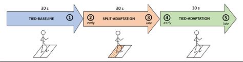 Figure 1 From The Effect Of One Session Split Belt Treadmill Training On Gait Adaptation In